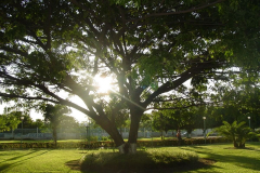 Universidad Bicentenaria de Aragua