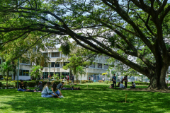 Universidad Bicentenaria de Aragua