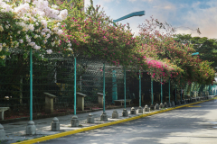 Universidad Bicentenaria de Aragua