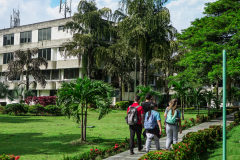 Universidad Bicentenaria de Aragua