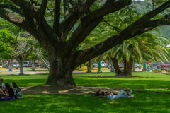 Universidad Bicentenaria de Aragua